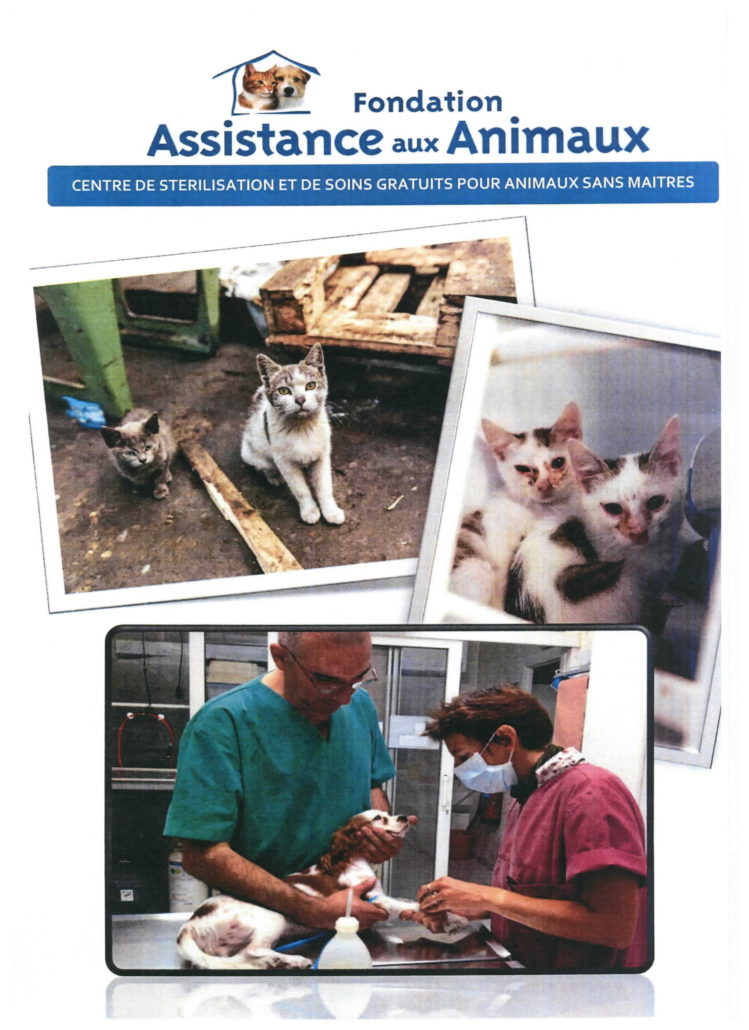 COMMUNIQUE PROTECTION DES ANIMAUX : UNE PREMIÈRE EN FRANCE - Fondation ...