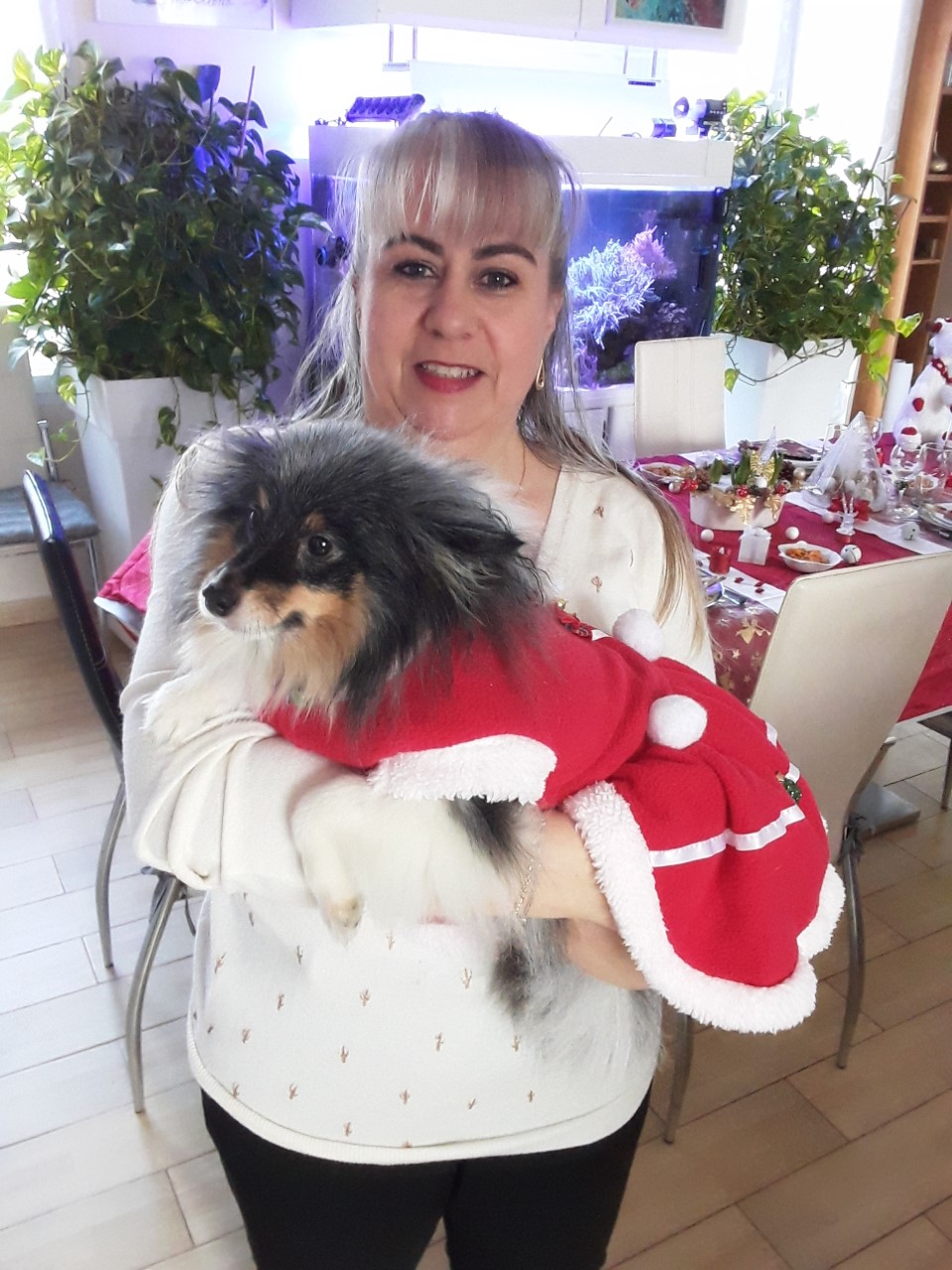 Bonheur en famille pour "Jessie" ! - Fondation Assistance aux Animaux ...