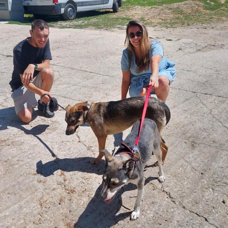 Une magnifique double adoption ! - Fondation Assistance aux Animaux ...