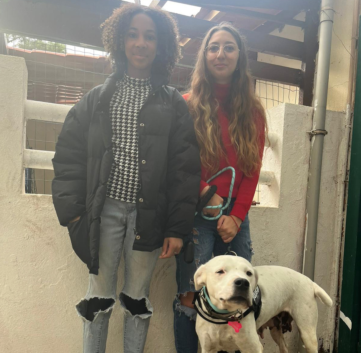 Sally avait été accueillie au refuge de Toulon. Elle est aujourd'hui ...