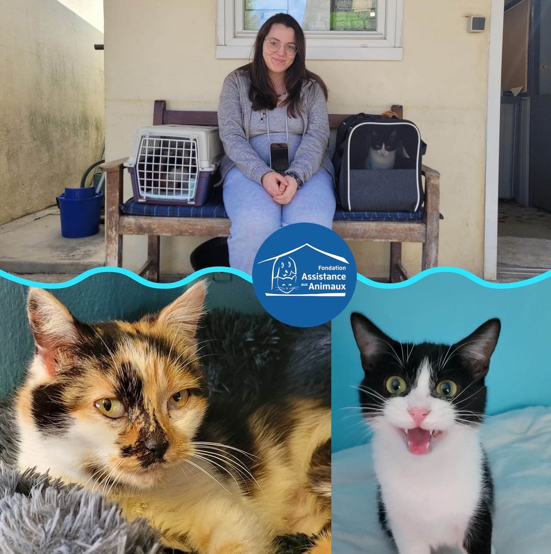 Une merveilleuse double adoption ! - Fondation Assistance aux Animaux ...