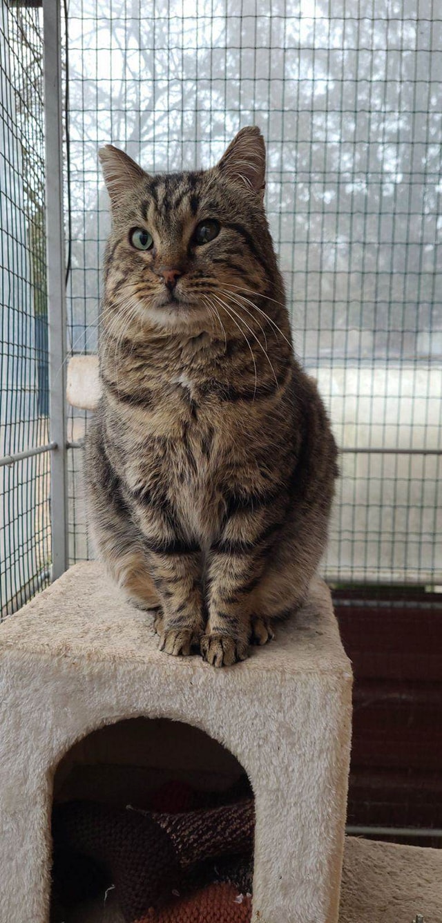 L'adoption sauvetage de Snail - Fondation Assistance aux Animaux ...