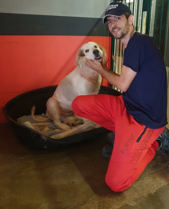 La prise en charge de Nouska - Fondation Assistance aux Animaux ...
