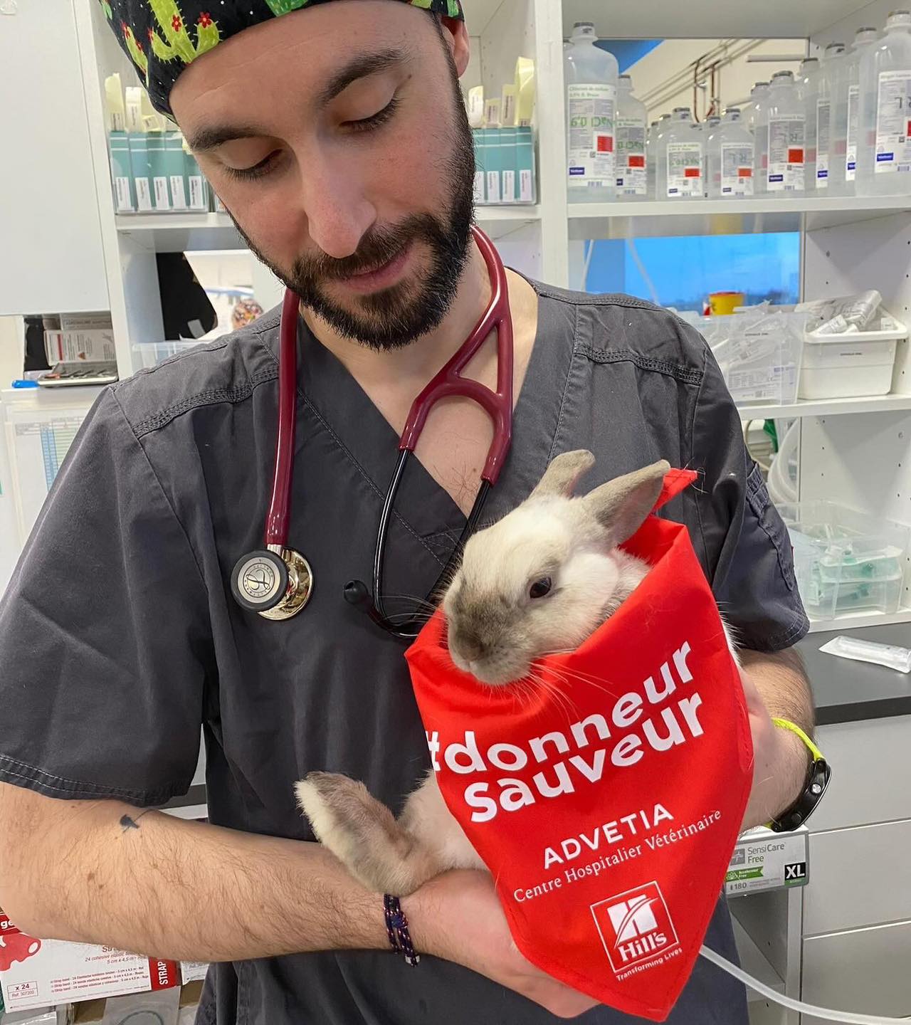 La Fondation Assistance Aux Animaux répond au SOS d'une clinique ...