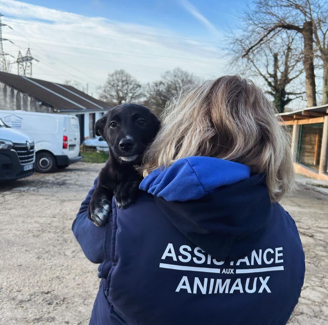 Devenez enquêteur bénévole pour la Fondation Assistance aux Animaux ...