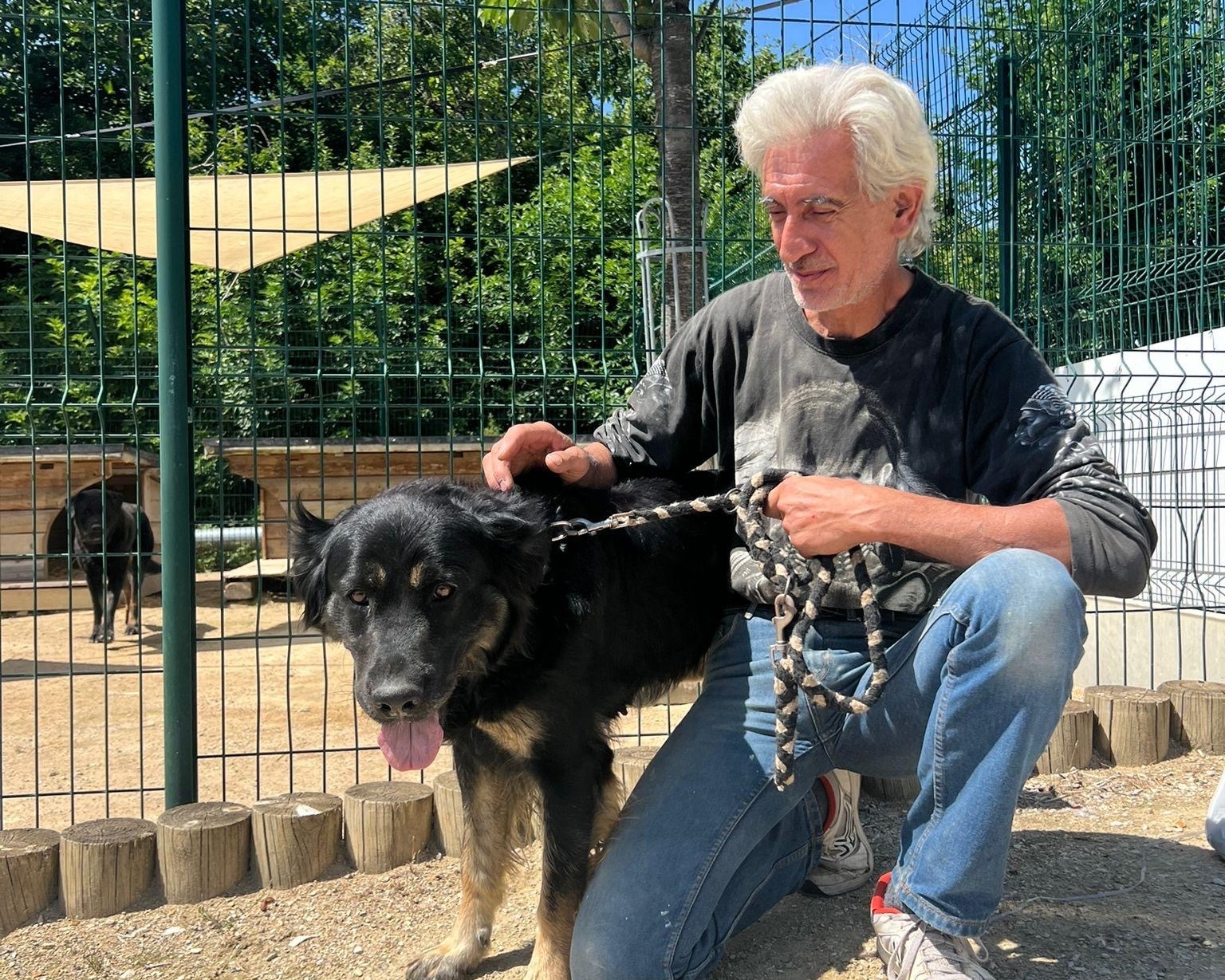 De belles adoptions dans les refuges franciliens de la Fondation ...