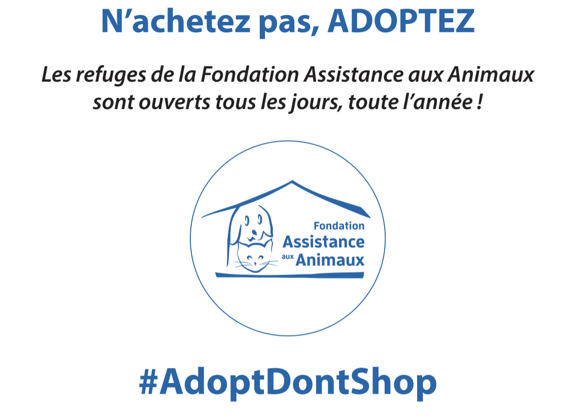 Les refuges de la Fondation Assistance aux Animaux